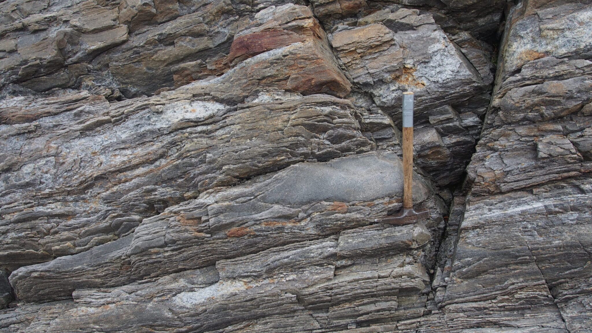 Earliest Life on Earth: When Did It Begin? | DigitrendZ