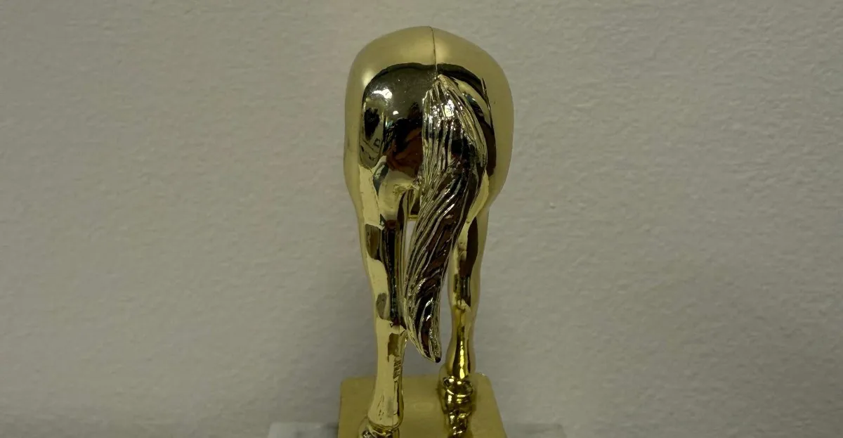 The Elon Musk Jackass Trophy | DigitrendZ